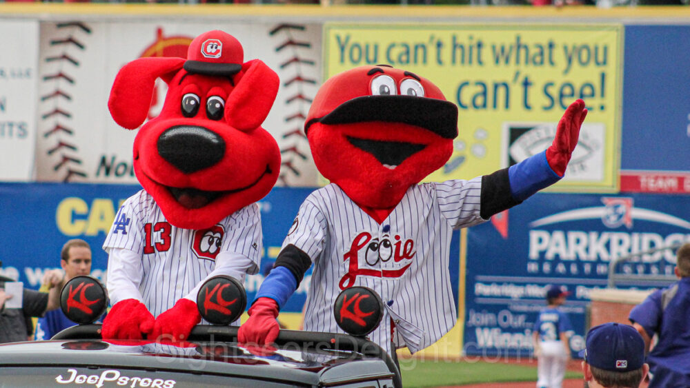 Chattanooga approves $79.5M baseball stadium despite economic questions ...