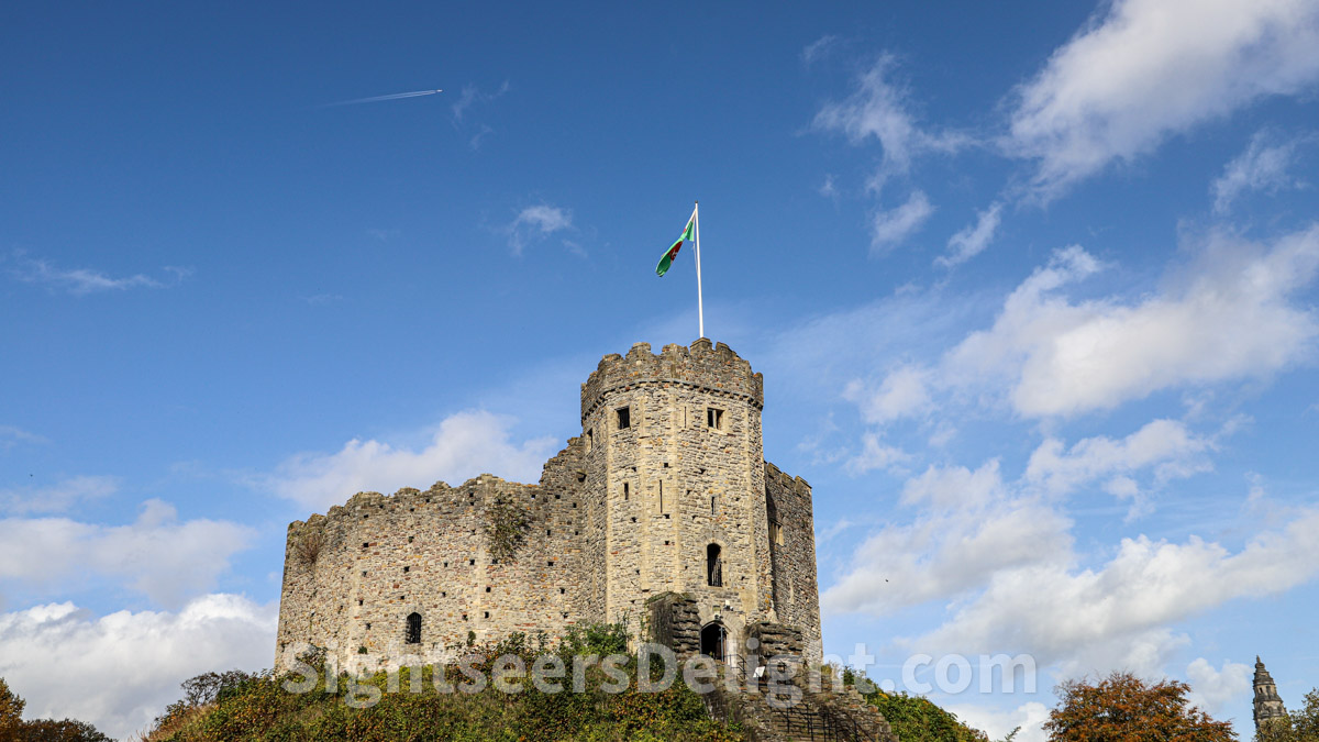 Sightseers' Delight – Delight in the sights you see