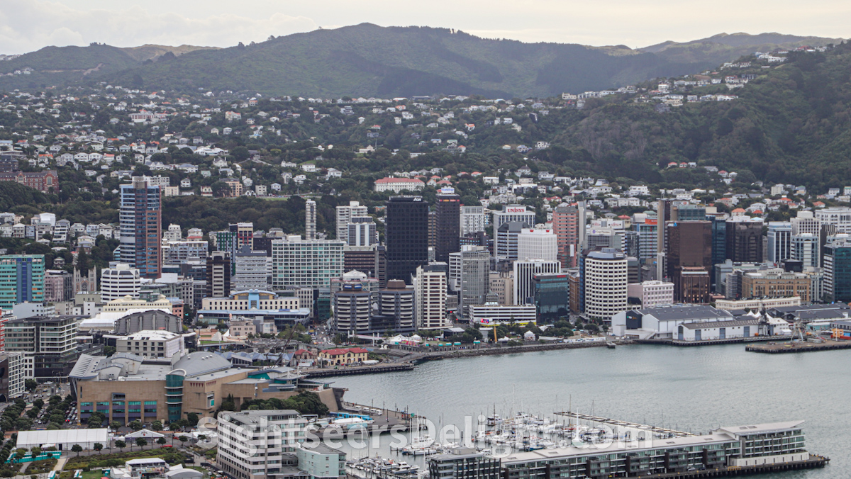 A view from Mt. Victoria – Sightseers' Delight