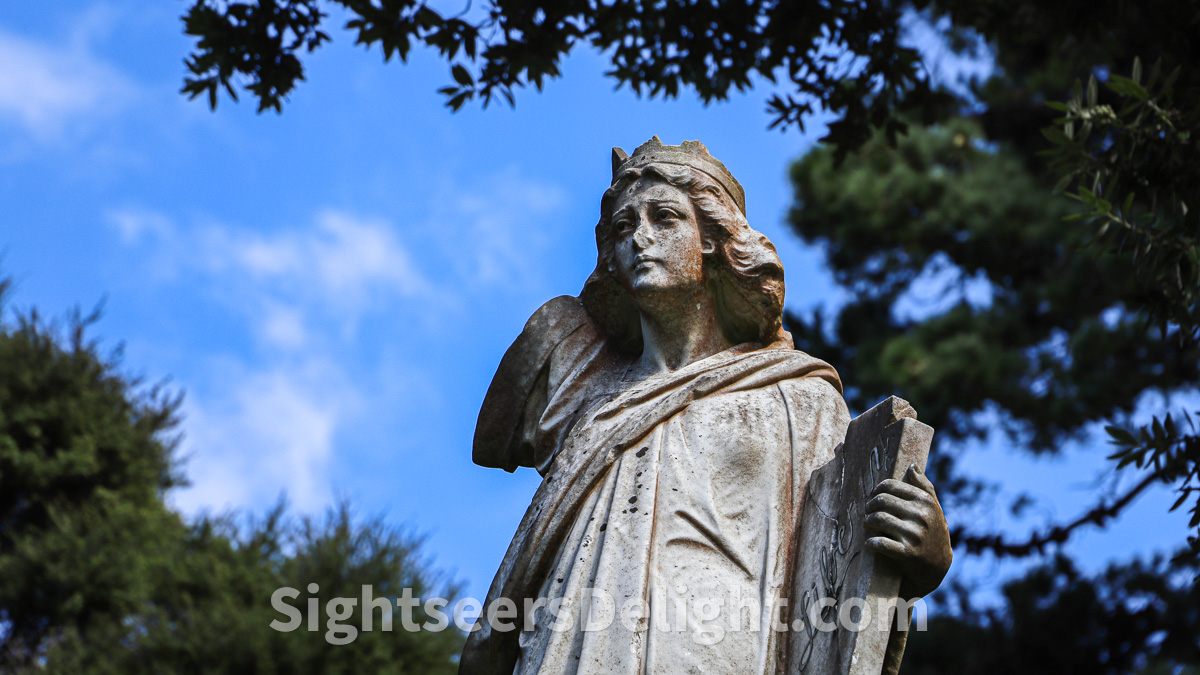 Wellington’s historic Bolton Street Cemetery is a hidden gem of the ...
