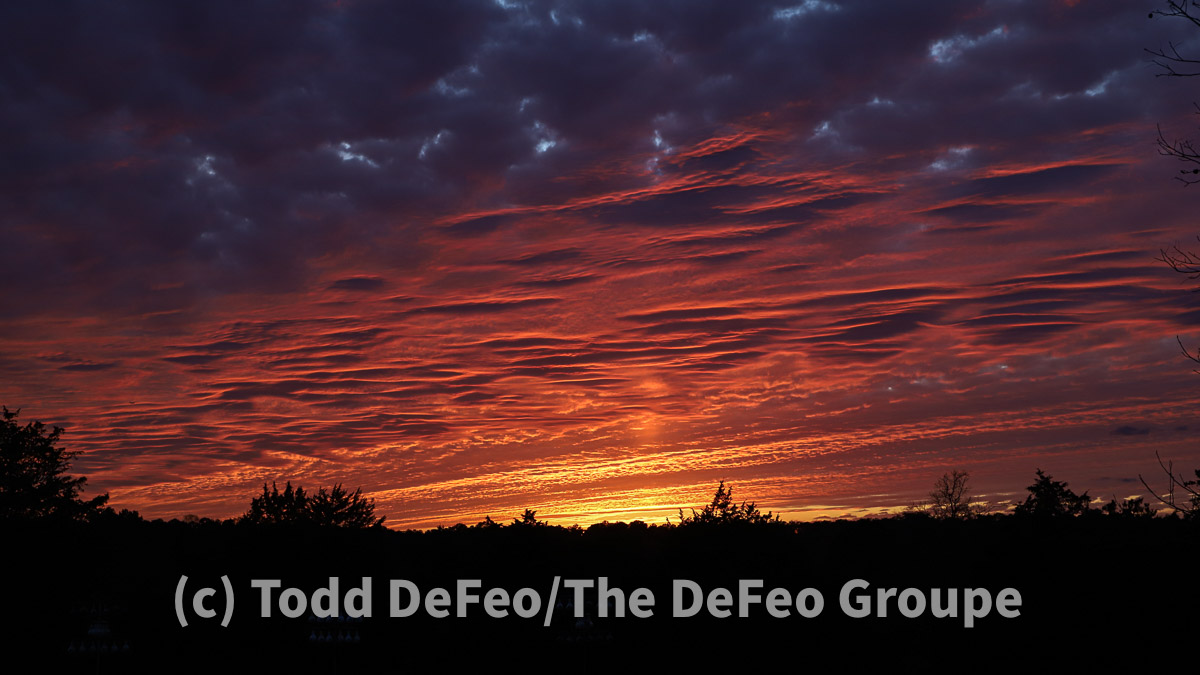 Sinking like a sunset before the frost – Sightseers' Delight